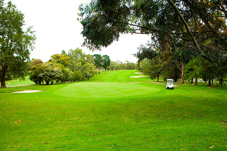 GSM Golf | Golf Memberships and Course Management | gsmgolf.com.au